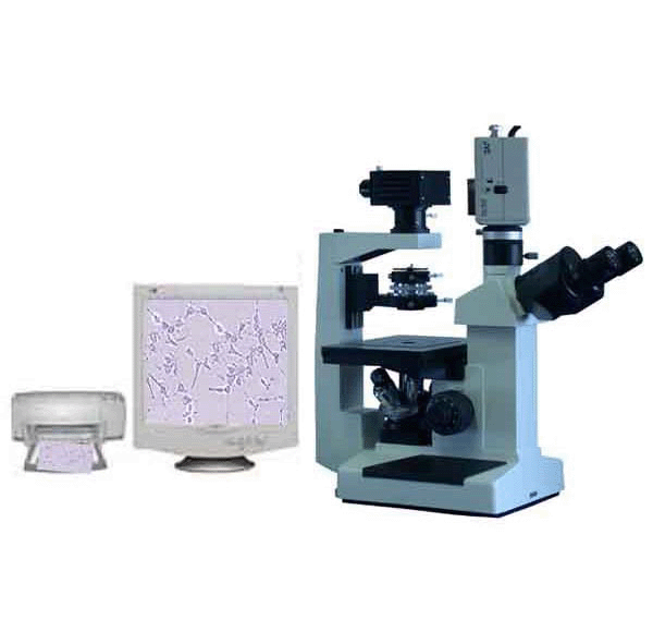 Inverted Microscope,Shanghai ZOUSUN Optical Instrument Co., LTD ...