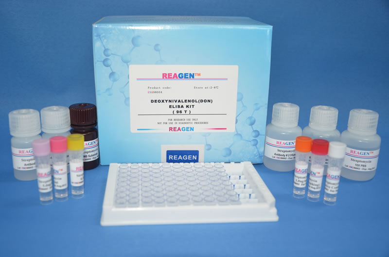 Ochratoxin A ELISA Test Kit,REAGEN_specification/price/image_Bio-Equip ...