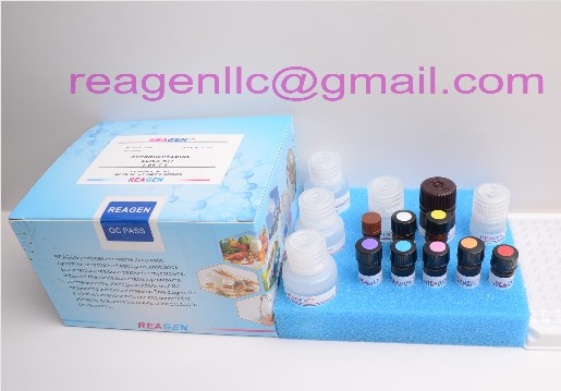 Urea Enzymatic Assay Kit,REAGEN_specification/price/image_Bio-Equip in ...