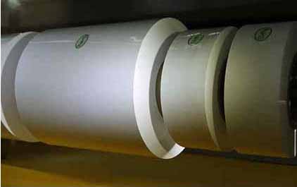 Lithium Cell Separator PVDF Coating,PHST_specification/price/image_Bio ...