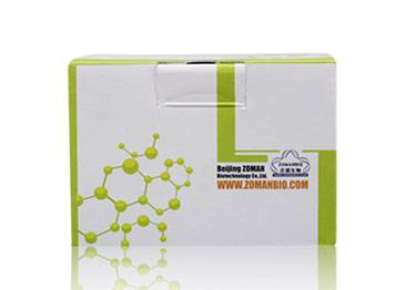 10×Western Rapid Transfer Buffer (for 15 min Transfer ),Beijing Zoman ...