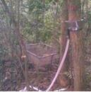 QT-Y/H Automatic stem flow collector,specification,price,image-Bio ...