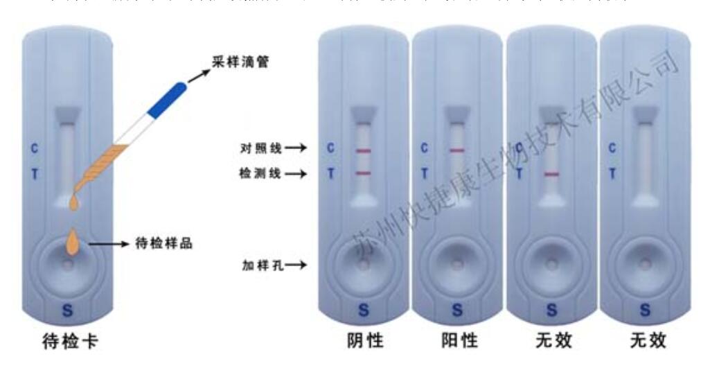 Ehrlichia Rapid Test Kit,specification,price,image-Bio-Equip in China