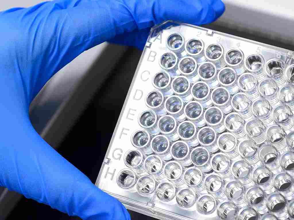 ELx808™ Incubating Absorbance Plate Reader,Lonza Group Ltd ...