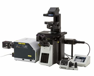 Inverted Microscope,Olympus_specification/price/image_Bio-Equip in China