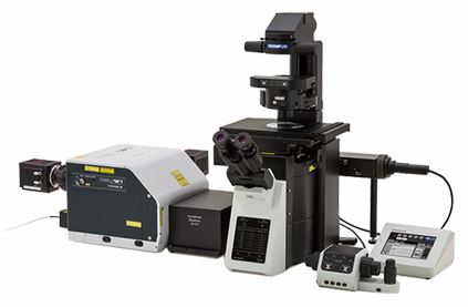 Inverted Microscope,Olympus_specification/price/image_Bio-Equip in China