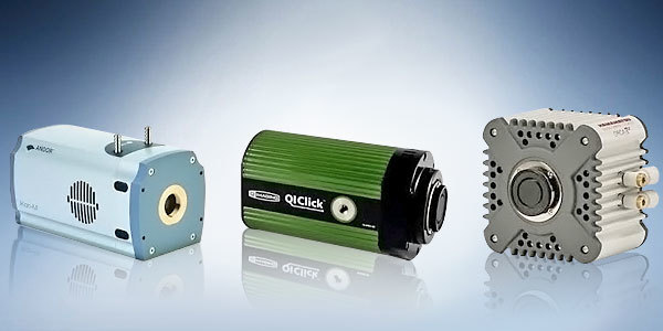 sCCD Cameras,Olympus_specification/price/image_Bio-Equip in China