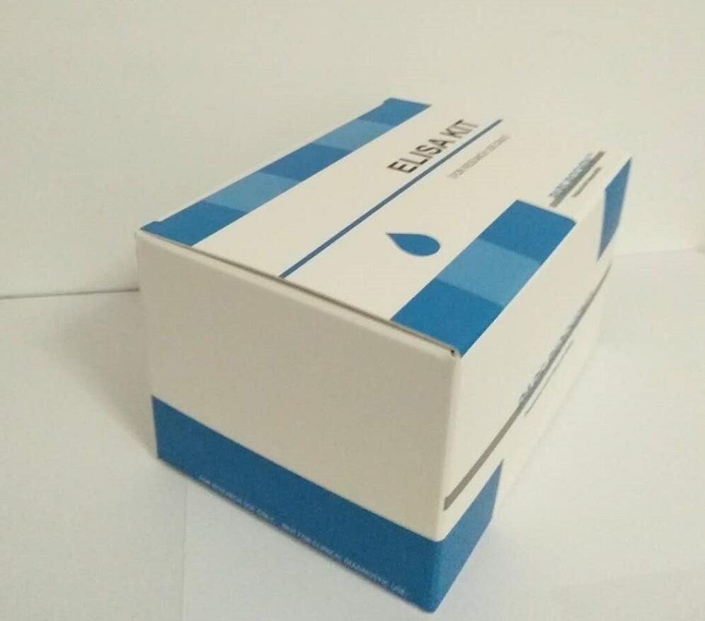 Foot and Mouth Disease Virus Type A Antibody ELISA Kit(FMD),ibookbio ...