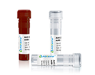 AbFluor™ 488-Phalloidin,Abbkine Scientific Co.Ltd._specification/price/image_Bio-Equip in China