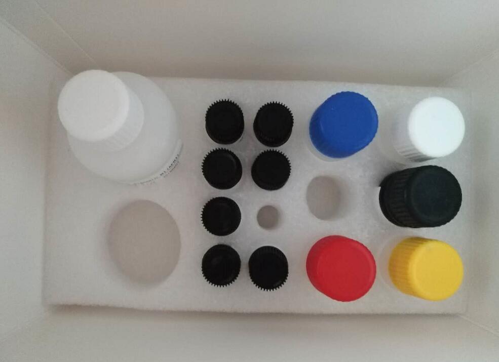 Rabies virus antibody elisa test kit,ibookbio_specification/price/image ...