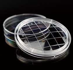 RODAC Dish,specification,price,image-Bio-Equip in China