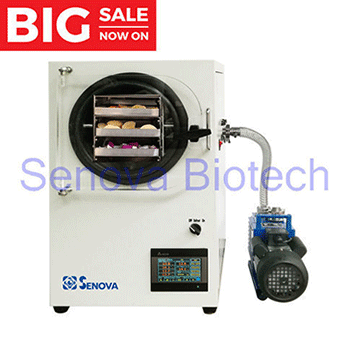 Small Mini Laboratory 16mm 22mm Vial Home Food Vacuum Freeze Dryer Drier Lyophilizer ...