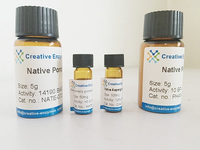 Concentrated alkaline protease for Medical,Creative Enzymes_specification/price/image_Bio-Equip ...