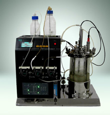 Bench type fermenter,_specification/price/image_Bio-Equip in China