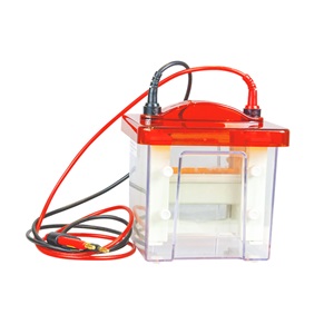 Gel Electrophoresis Tank,A & E Lab_specification/price/image_Bio-Equip ...