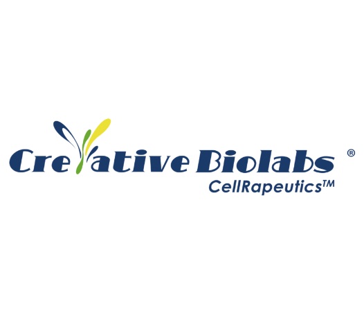 Murinized anti-p53 (aa264-272) T cell receptor (Cysteine-modiﬁed), pCDTCR1,Creative Biolabs Inc ...