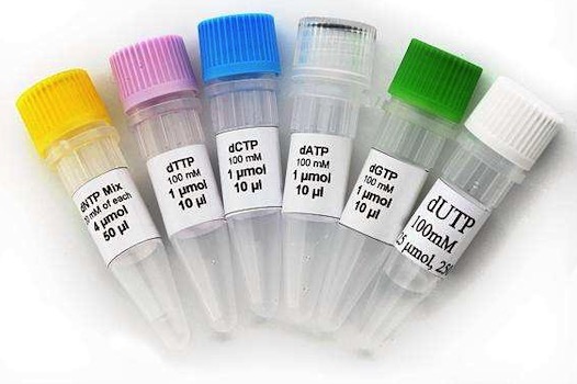 Measles Virus and Rubella Virus Real Time RT-PCR Kit,Creative Biogene ...