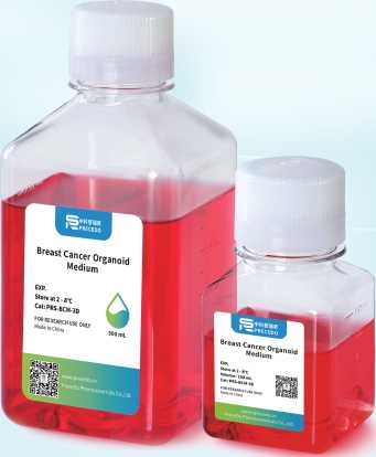 Human Cervical Carcinoma Cell Medium,specification,price,image-Bio ...