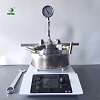 Lab Chemical High Pressure Reactor Magnetic Stirring Micro Autoclave ...