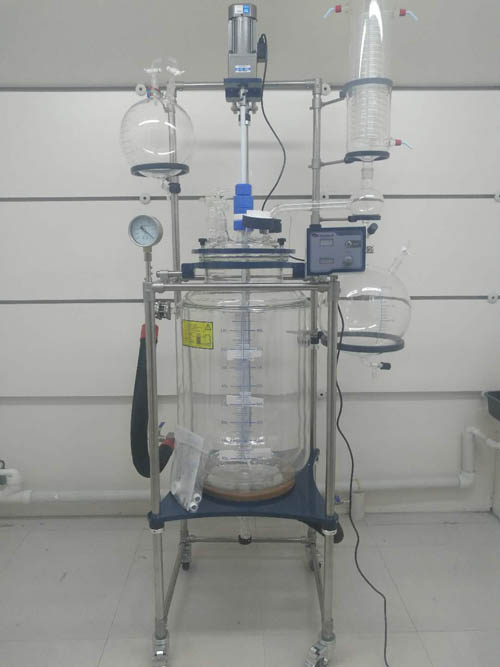Pilot Scale Factory Price Customized Bio Chemical Reactor 80L 100L ...