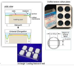 flexcell BioPress™ Compression Plates,BIOPRESS™ CULTURE PLATES,flexcell ...