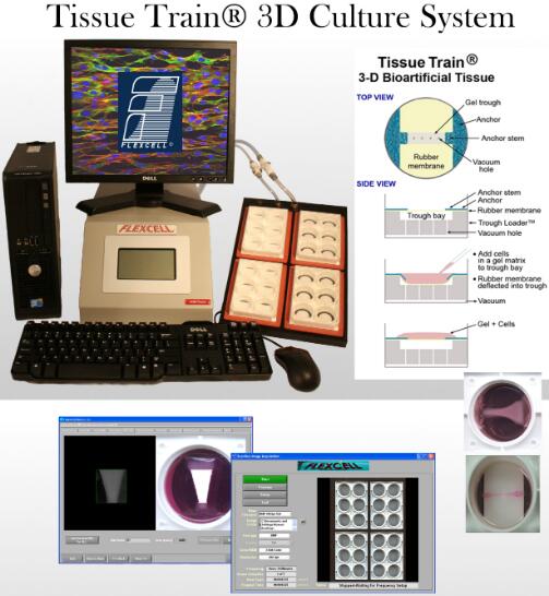 flexcell tissue train system，flexcell 3D tension system,flexcell ...