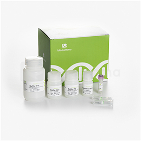 Biocomma CE 50 preps Column Method Viral DNA/RNA Extraction Kit,biocomma_specification/price ...