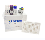 Monkey IGF-1(Insulin Like Growth Factor 1) ELISA Kit,FeiyueBio ...