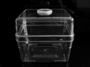 plant tissue culture container,lab equipment, plastic flask,Shanghai ...