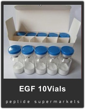 EGF (epidermal growth factor),_specification/price/image_Bio-Equip in China