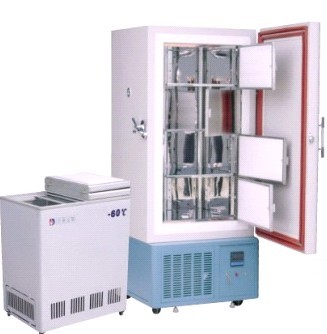 Low temperature freezer,specification,price,image-Bio-Equip in China