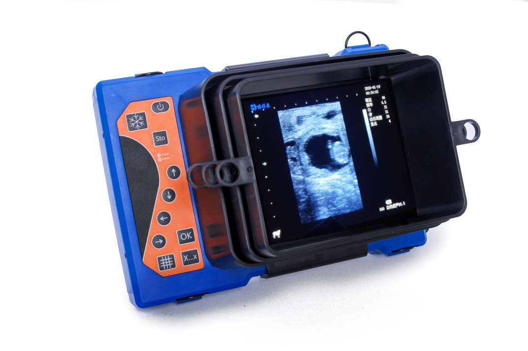 Medical diagnostic scanner portable 8 inch veterinary ultrasound ...