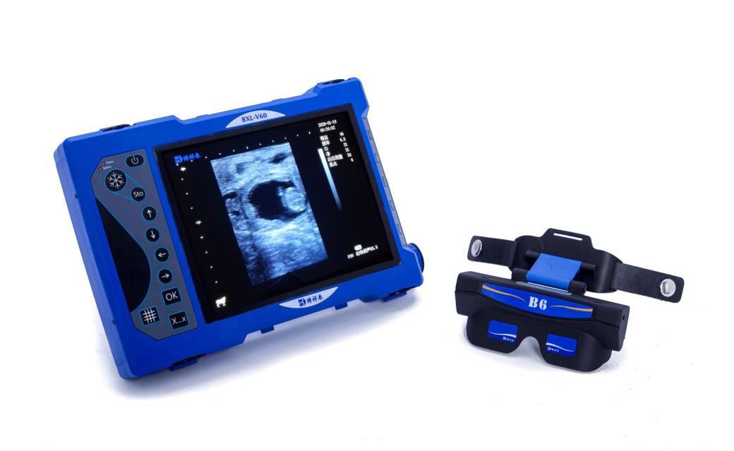 High-definition veterinary transrectal ultrasound vet mobile ultrasound ...