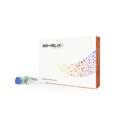 RScript Reverse Transcriptase,Bio-Helix_specification/price/image_Bio ...