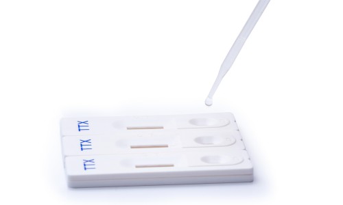 Bovine Rotavirus Rapid Test Kit,Ecalbio_specification/price/image_Bio ...