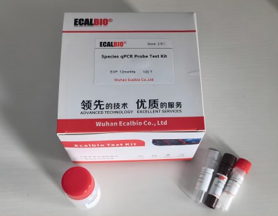 HIV Nucleic Acid qPCR Kit(Fluorescence PCR ),Ecalbio_specification ...