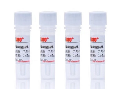 Avacincaptad pegol Aptamer,Ecalbio_specification/price/image_Bio-Equip ...