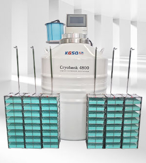 Cambodia small biological sample storage tank Liquid nitrogen gas phase ...