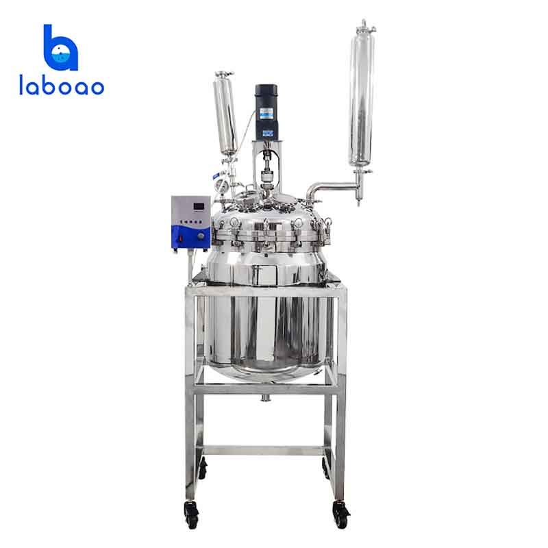 Laboao 100L Lab-Scale Stainless Steel Reactor for Chemical Reactions ...