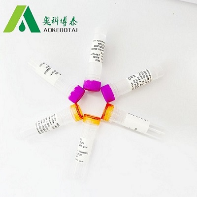 Best antibody pairs HBeAg HBeAb for your HBV test reagent,Wuhan Aoke ...