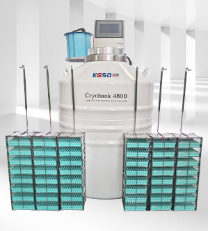 Andorra YDS-95 small gas-liquid phase liquid nitrogen tank KGSQ liquid ...