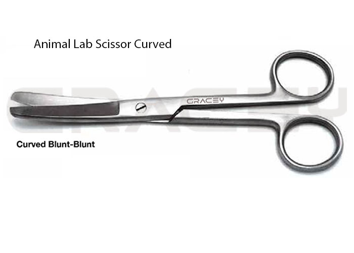 Veterinary Lab Scissors,Gracey_specification/price/image_Bio-Equip in China