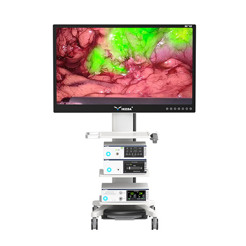 4K Fluorescence Endoscopic Imaging System,IKEDA_specification/price ...