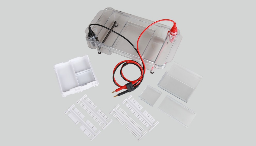 HE-120 Multifunctional Horizontal Gel Electrophoresis Cell,Alpha ...