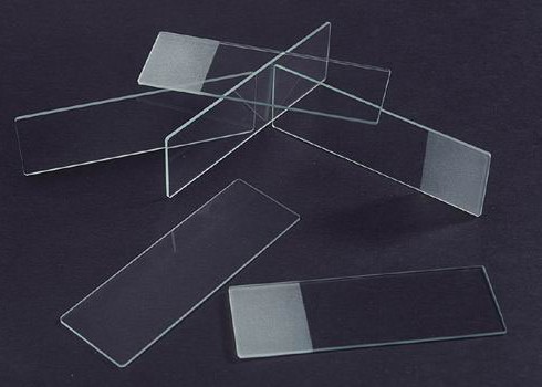 Premiere® MICROSCOPES SLIDES,_specification/price/image_Bio-Equip in China