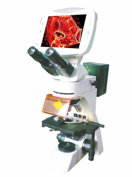 Compound Digital Inverted Fluorescence Microscope,specification,price ...