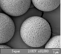 Sepax PolyRP Columns,Sepax Technologies, Inc._specification/price/image ...