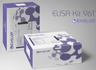 Mouse Creatine Kinase, Muscle (CKM) ELISA Kit,dldevelop_specification ...