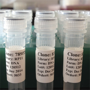 BAC Clones,Empire Genomics_specification/price/image_Bio-Equip in China