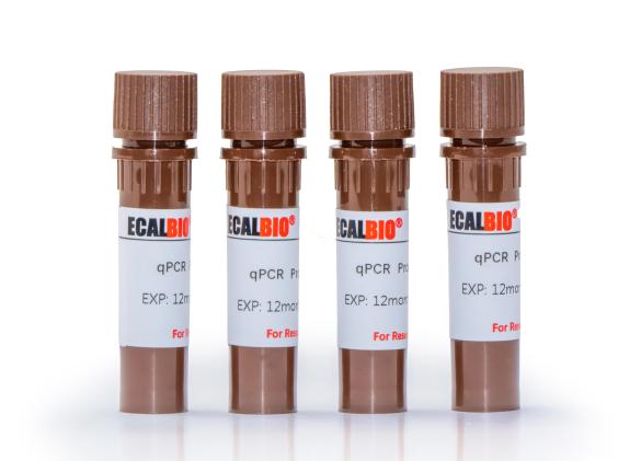 Stool SYBR Real Time PCR Kit (Stool SYBR Premix Ex Taq Kit),Ecalbio ...